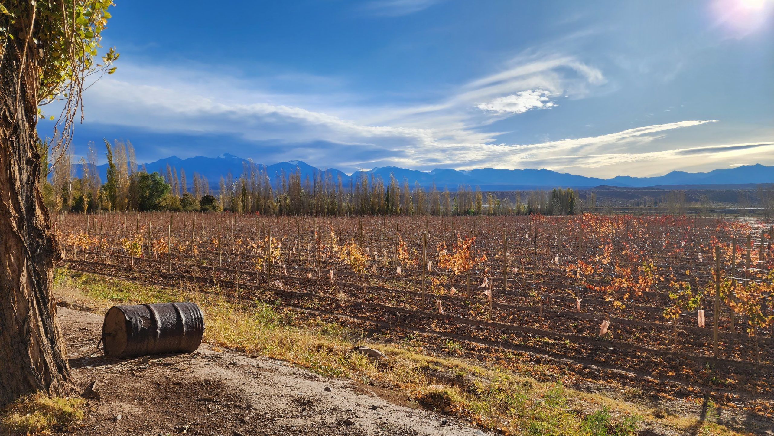 De visita por San Juan y sus viñedos – El resumen | Nicolás Orsini Blog